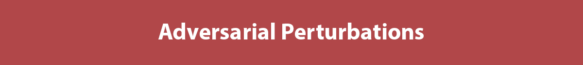 Adversarial Perturbations